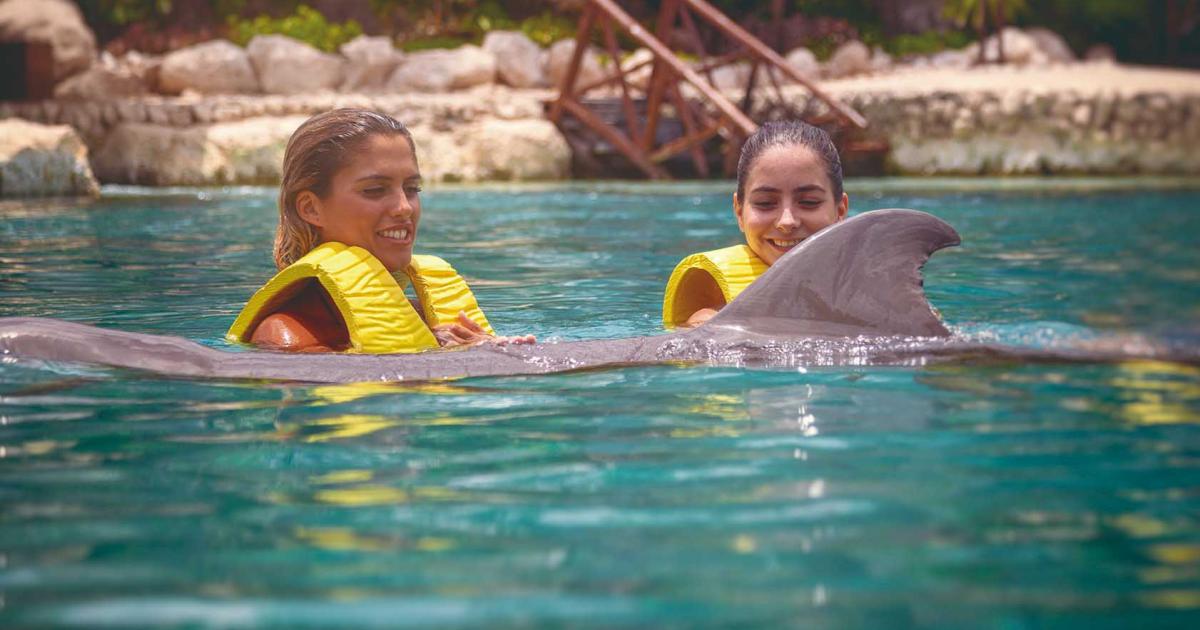 Nadar con delfines en México: descubre las locaciones en Cancún ...